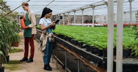 Resources Grobstein Teeple Llp