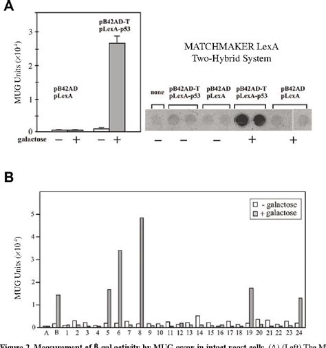 Beta Galactosidase Assay Lab Report At Jacob Mauldin Blog