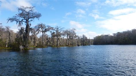 Edward Ball Wakulla Springs State Park 2020 All You Need To Know Before You Go With Photos