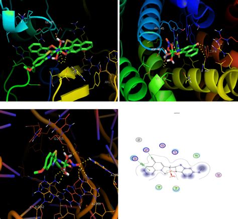 Binding Interaction Of The Compounds With Molecular Target Download