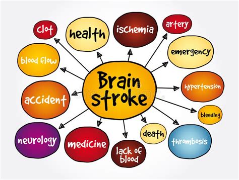 Brain Stroke Mind Map Medical Concept For Presentations And Reports Stock Illustration