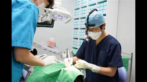 교대치과 임플란트 틀니 합리적인 비용으로 네이버 블로그