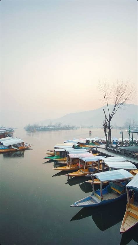 Kashmir Trap The Trails