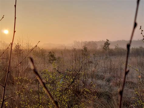 Casper Van Dijk Caspervandijk3 Twitter