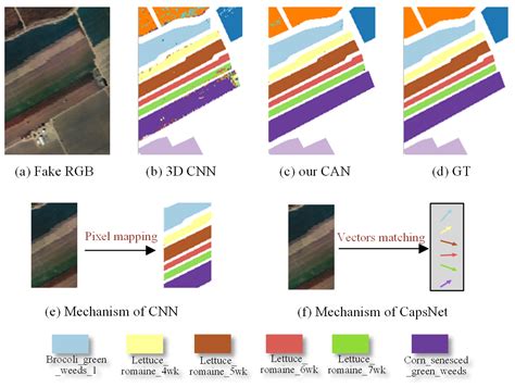 Capsule Attention Network For Hyperspectral Image Classification