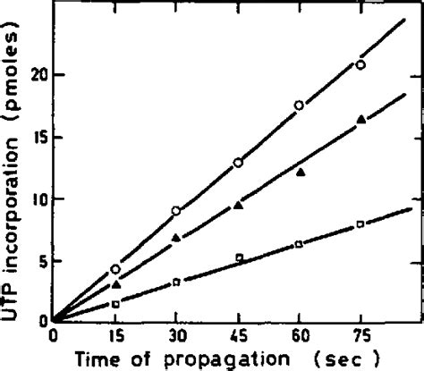Figure 1 From The Kinetics Of E Coli Rna Polymerase Semantic Scholar