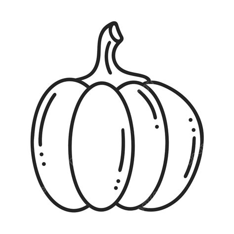 Single Pumpkin Doodle Illustration Pumpkin Drawing Rat Drawing Pump