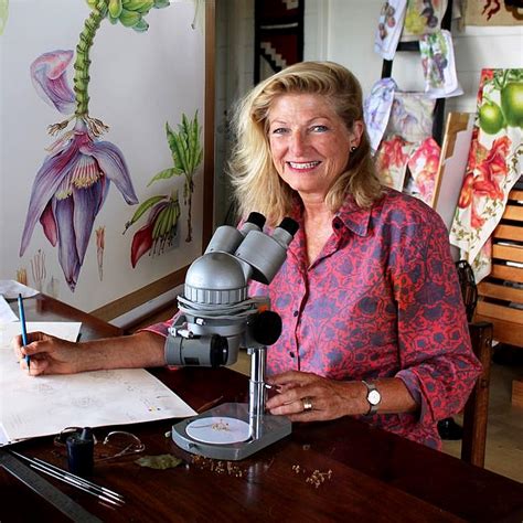 The Colourful World Of Sue Wickison Shared Kitchen