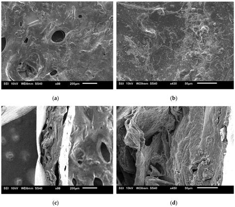 🔬 Excited To Share The Publication In Vitro And In Vivo Evaluation Of