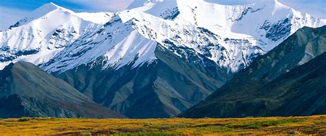 Denali National Park And Mount Mckinley Alaska 4k Wallpaper Download