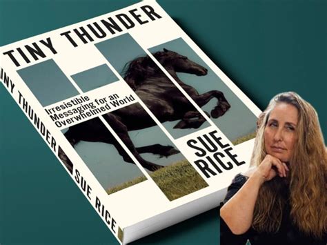 Tiny Thunder Irresistible Messaging For An Overwhelmed World 1 Hour Guide