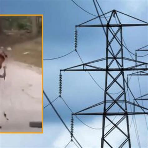 German Summaries Infobae