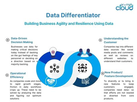 Data Differentiator Building Business Agility With Data