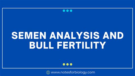 Semen Analysis And Bull Fertility Best Biology Notes