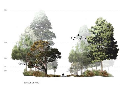 Vector Trees Vol 1 12 Figures Artofit