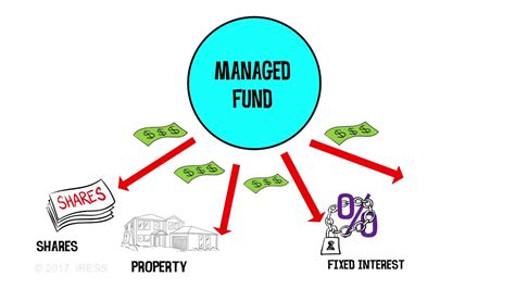 Is A Managed Fund Worth Itarticle Vibrantfinserv