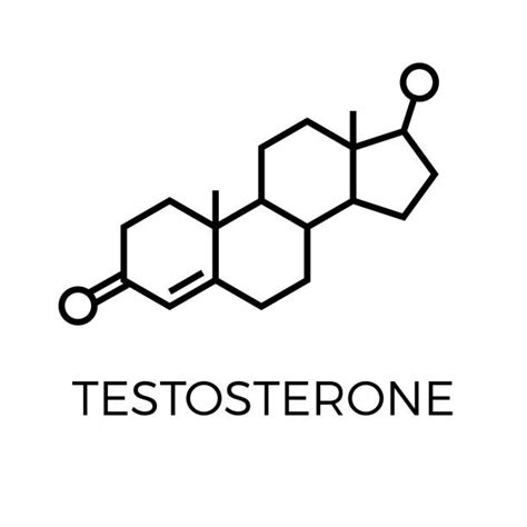 50 Testosterone Replacement Therapy Stock Illustrations Royalty Free