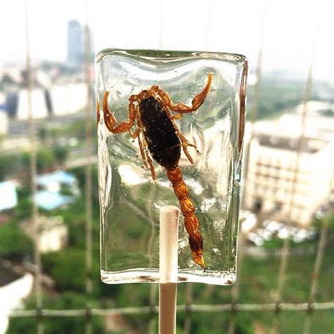 某寶上賣這麼噁心的東西，買的人竟然都是美女！ 每日頭條