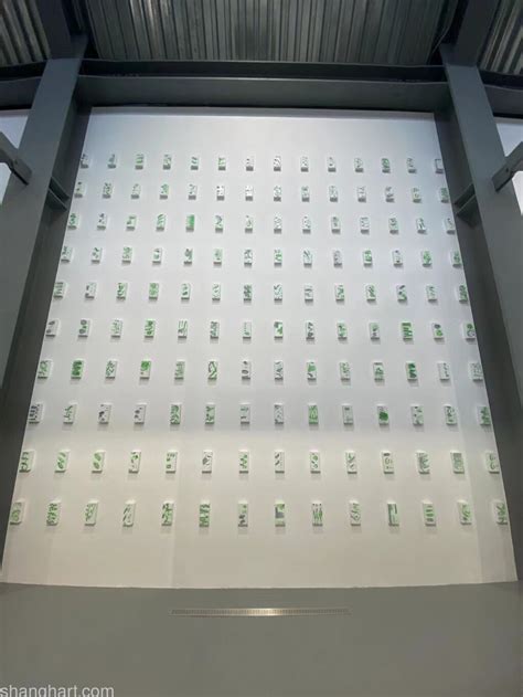 Start Xu Zhen® Signal