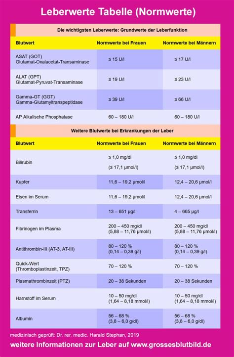 Leberwerte Tabelle Normwerte Gesundheit Und Wohlbefinden