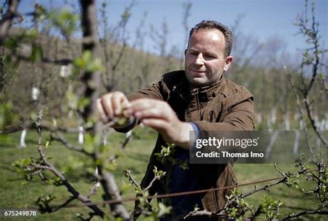The Albanian Farmer Roland Cela Is Examing His Fruit Trees With The