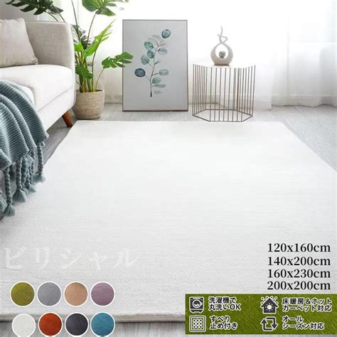 ラグ カーペット 無地 ラグマット 洗える 滑り止め 絨毯 マット Ins風 高品質 玄関 リビング 寝室 部屋 抗菌防臭手入れが便利だ