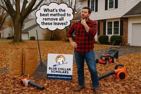 7 Proven Leaf Removal Methods For Your Dmv Yard