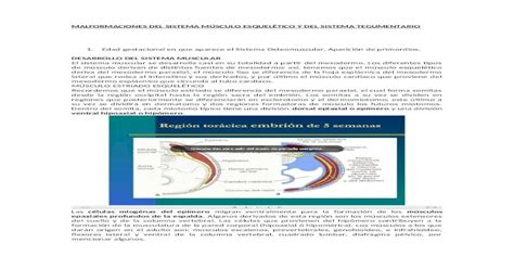 Docx Malformaciones Del Sistema MÚsculo EsquelÉtico Y Del Sistema