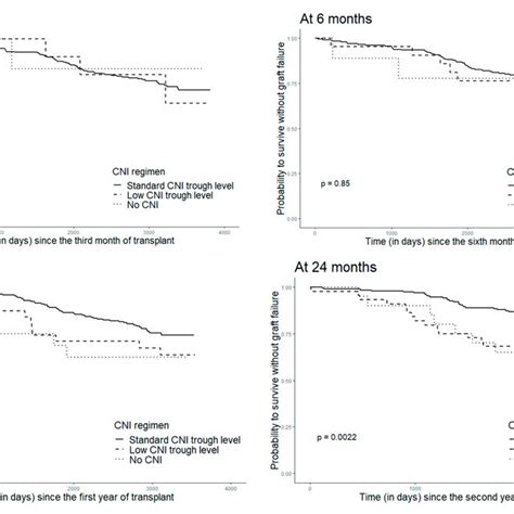 An Elastic Soft Pedunculated Nodule 12 Mm In Diameter Was Detected On