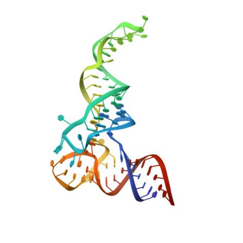 Rcsb Pdb 9ene Human Pseudouridine Synthase 3 Pus3 D118a Mutant And Two Trna Arg