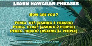 Top 28 Basic Hawaiian Phrases For Beginners