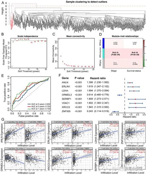 6单基因泛癌分型纯生信，非常规思路，值得借鉴！ 知乎