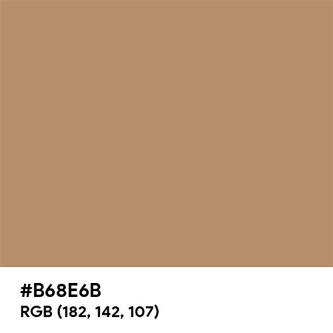 Tan Skin Color Hex Code Is B68e6b
