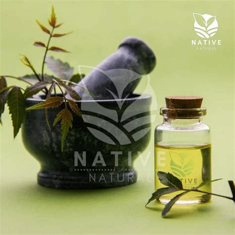 Neem Seed Oil Azadirachta Indica Packaging Size 200 Liter 100