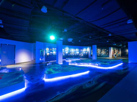 2025青岛海洋科学馆门票价格 开放时间 展厅介绍 地址 大河票务网