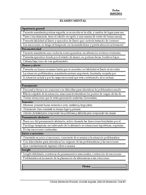 Examen Mental Ejemplos 1 Pdf