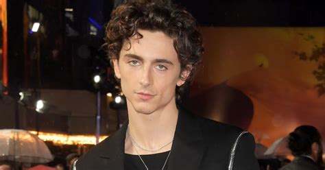 Dune Star Timothée Chalamets Best Movie And Tv Roles