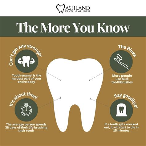 Here Are Some Fun Tooth Facts To Know Comment If You Already Knew Any