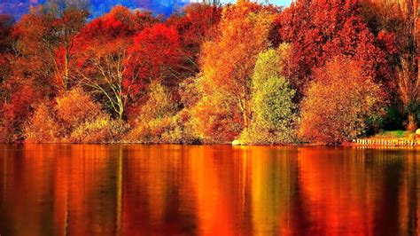 Hd Autumn Wallpapers