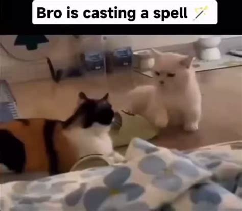 Bro Is Casting A Spell Ifunny