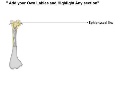 Bone Structure Medical Images For PowerPoint PowerPoint Templates Designs PPT Slide