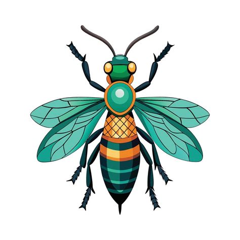 Chrysis Ignita Stunning Design 58981904 Vector Art At Vecteezy