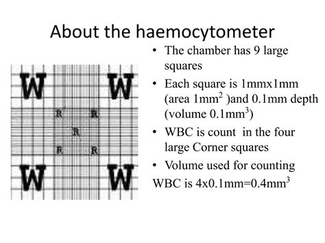 Blood And Immunity Physiology Prepared By Kiflay Mulugeta Pptx