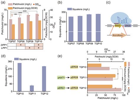 Metabolic Engineering For Efficient Synthesis Of Patchoulol In
