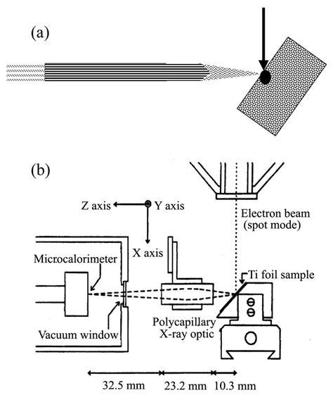 Gain Of The Microcalorimeter Eds Obtained With The Double Tapered