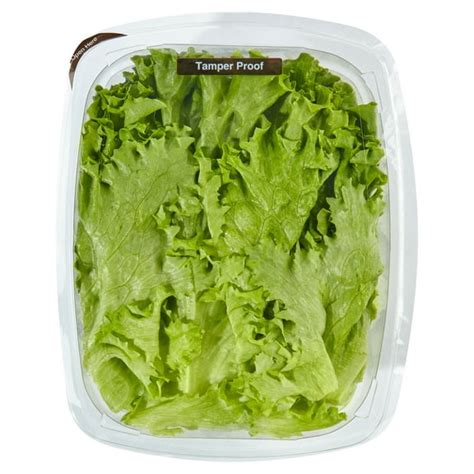 Lechuga Organica