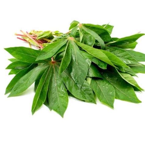 Daun Ubi Setengah Kg Nq Mobile