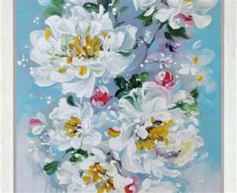 Anna Cher Nova Anna Cher Nova