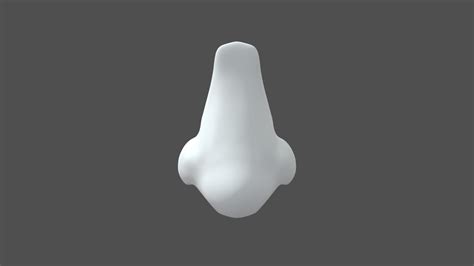 Nose Study 3d Model By Samantharamirez 4034586 Sketchfab