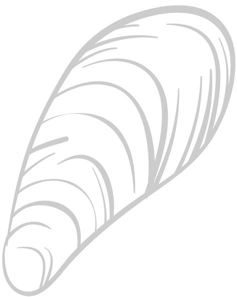 Shell 36654802 Vector Art At Vecteezy Shell 36654802 Vector Art At Vecteezy